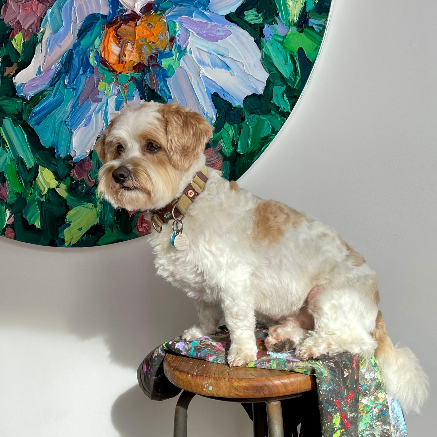 About us – Kindred Studio