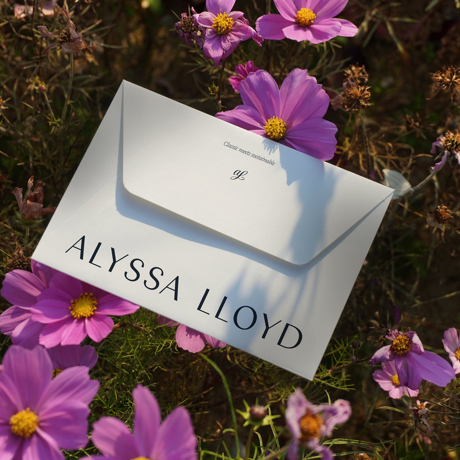 Service Overview – Kindred Studio